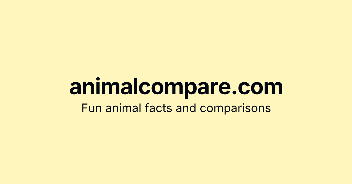 Animal Comparisons: Nature's Most Fascinating Face-Offs | AnimalCompare.com